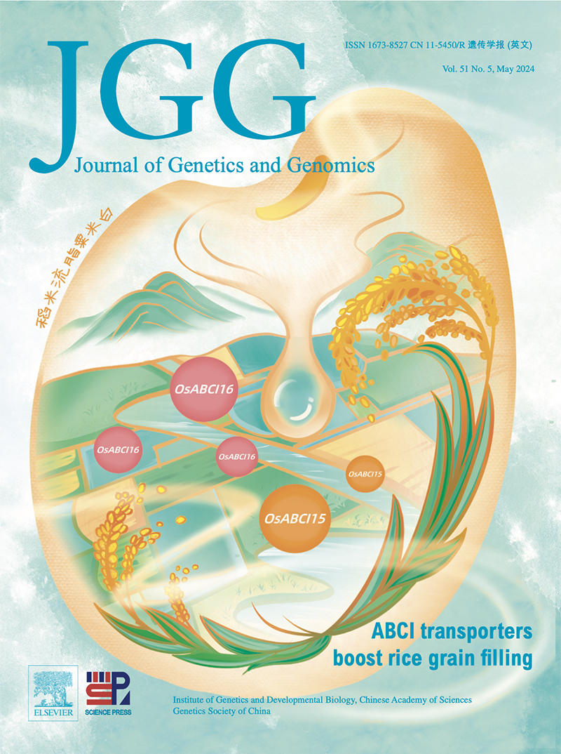 Corrigendum to “Long-term correction of hemophilia B through CRISPR/Cas9 induced homology ...